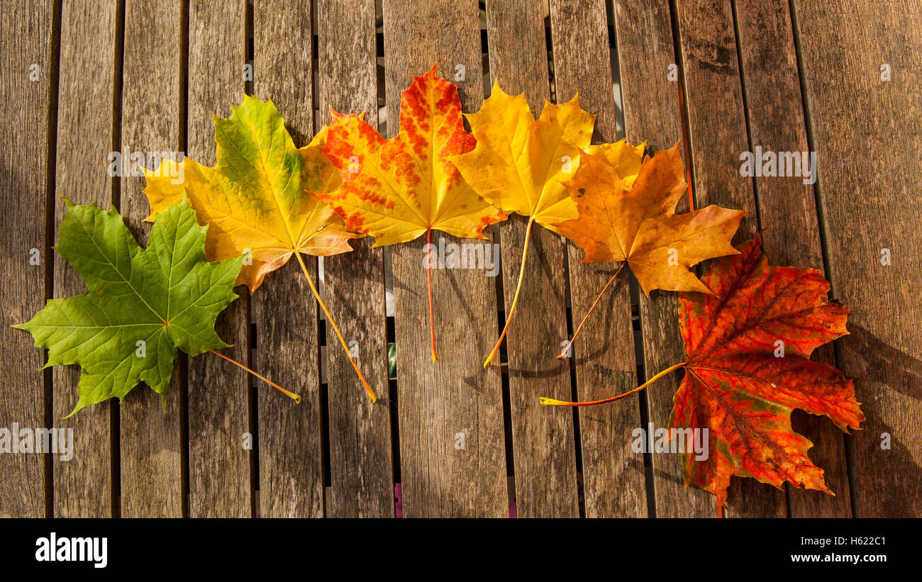 Vivid warm color hi-res stock photography and images - Alamy