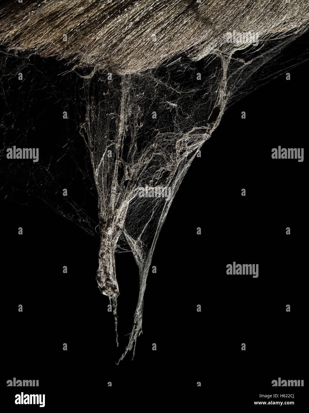 triangle horror cobweb for holloween background Stock Photo - Alamy