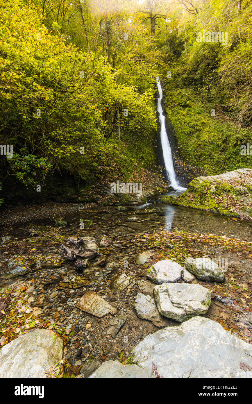 Lydford gorge hi-res stock photography and images - Alamy