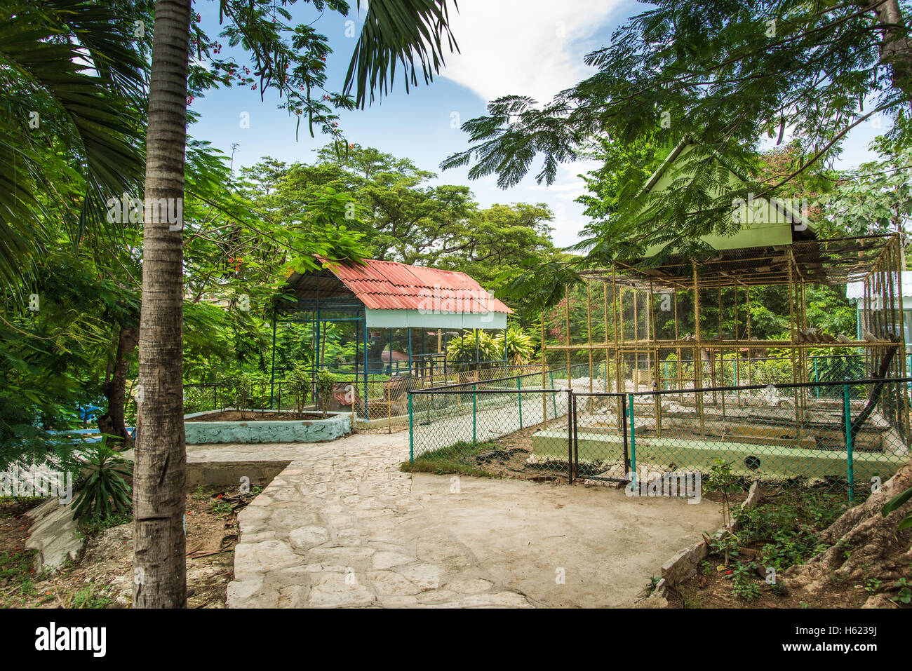 Cuban zoo hi-res stock photography and images - Alamy