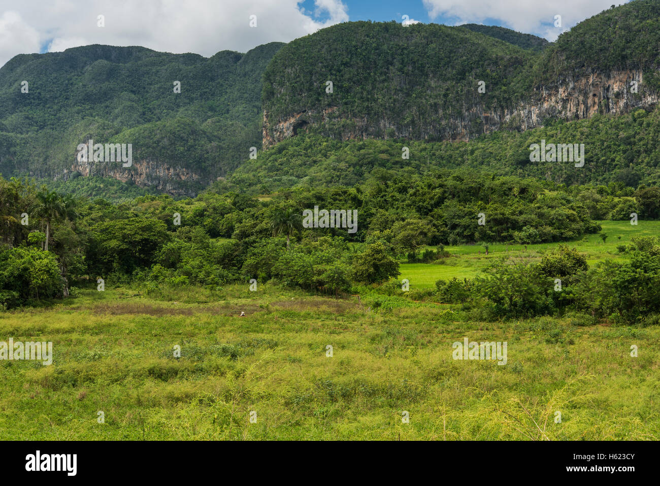 Mogotes formations in western Cuba, Vinales National Park Stock Photo ...