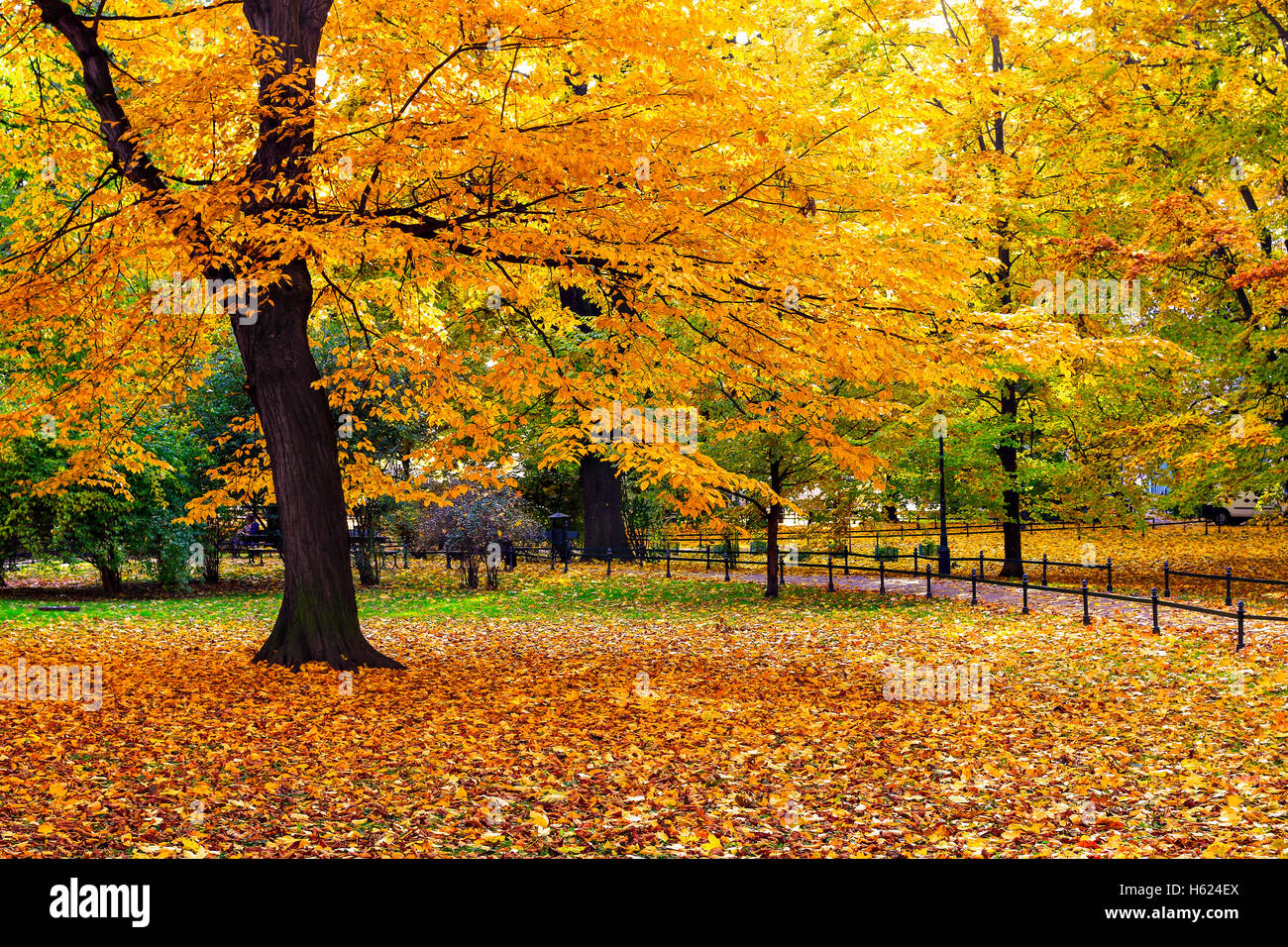 Autumn park in the city. Beautiful day Stock Photo - Alamy