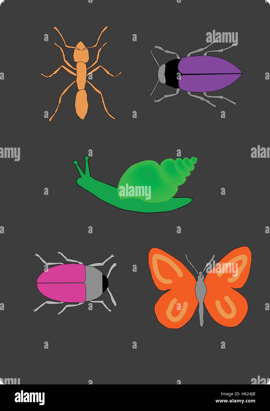 Set of insects hi-res stock photography and images - Alamy
