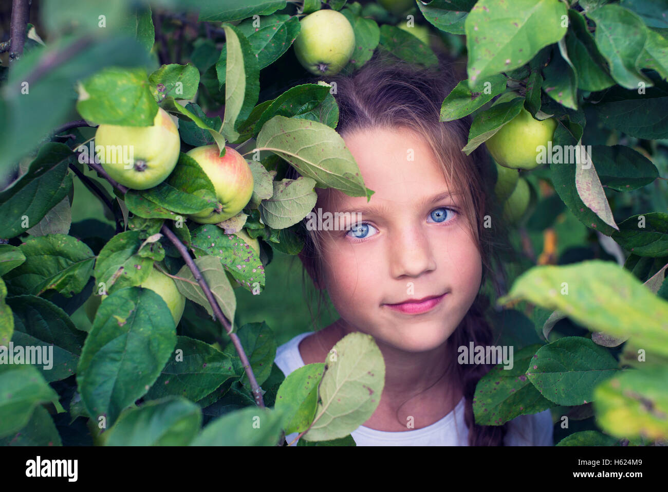 cute girl among apple tree branches full of fruits Stock Photo - Alamy