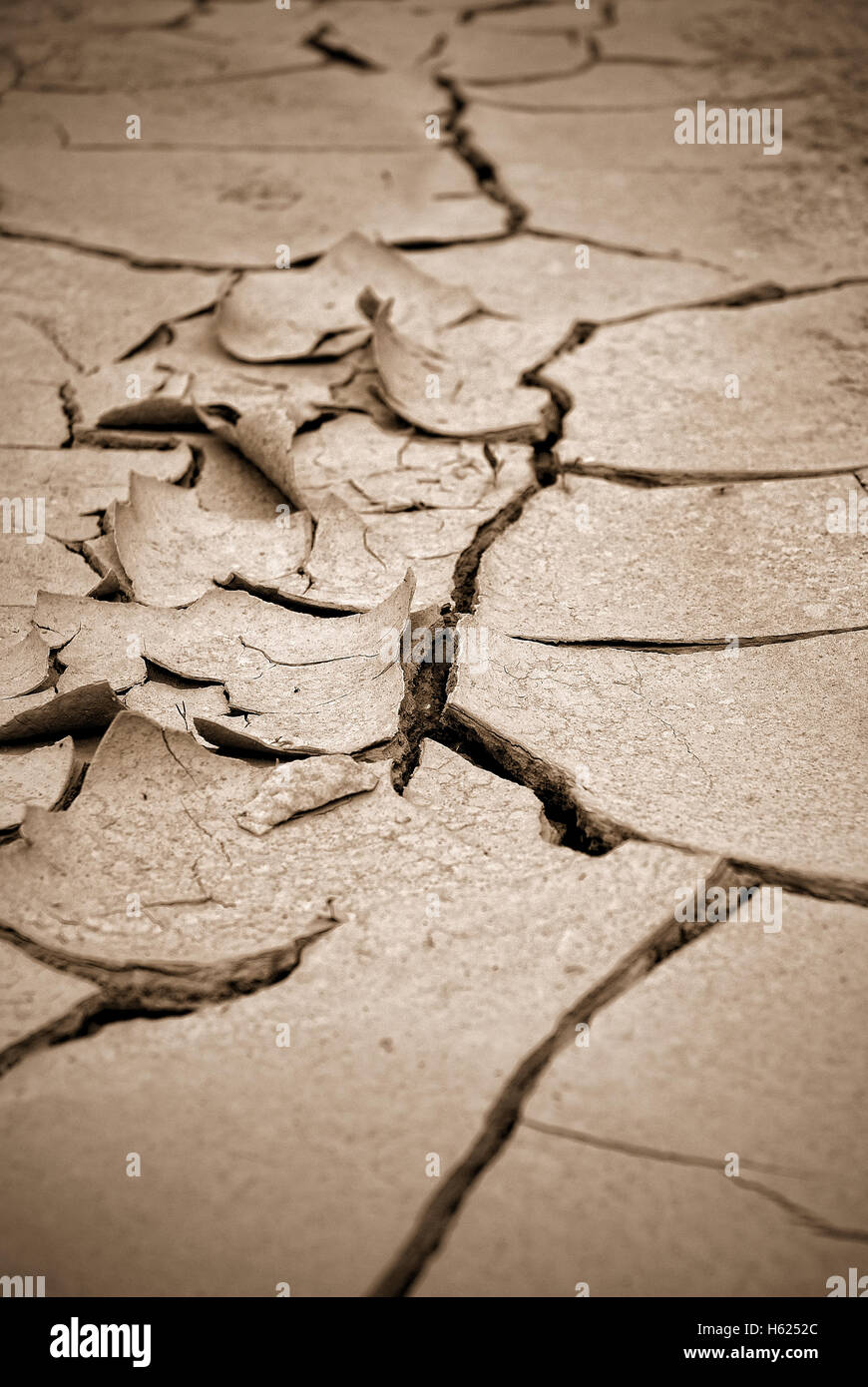 Cracks in surface large hi-res stock photography and images - Alamy