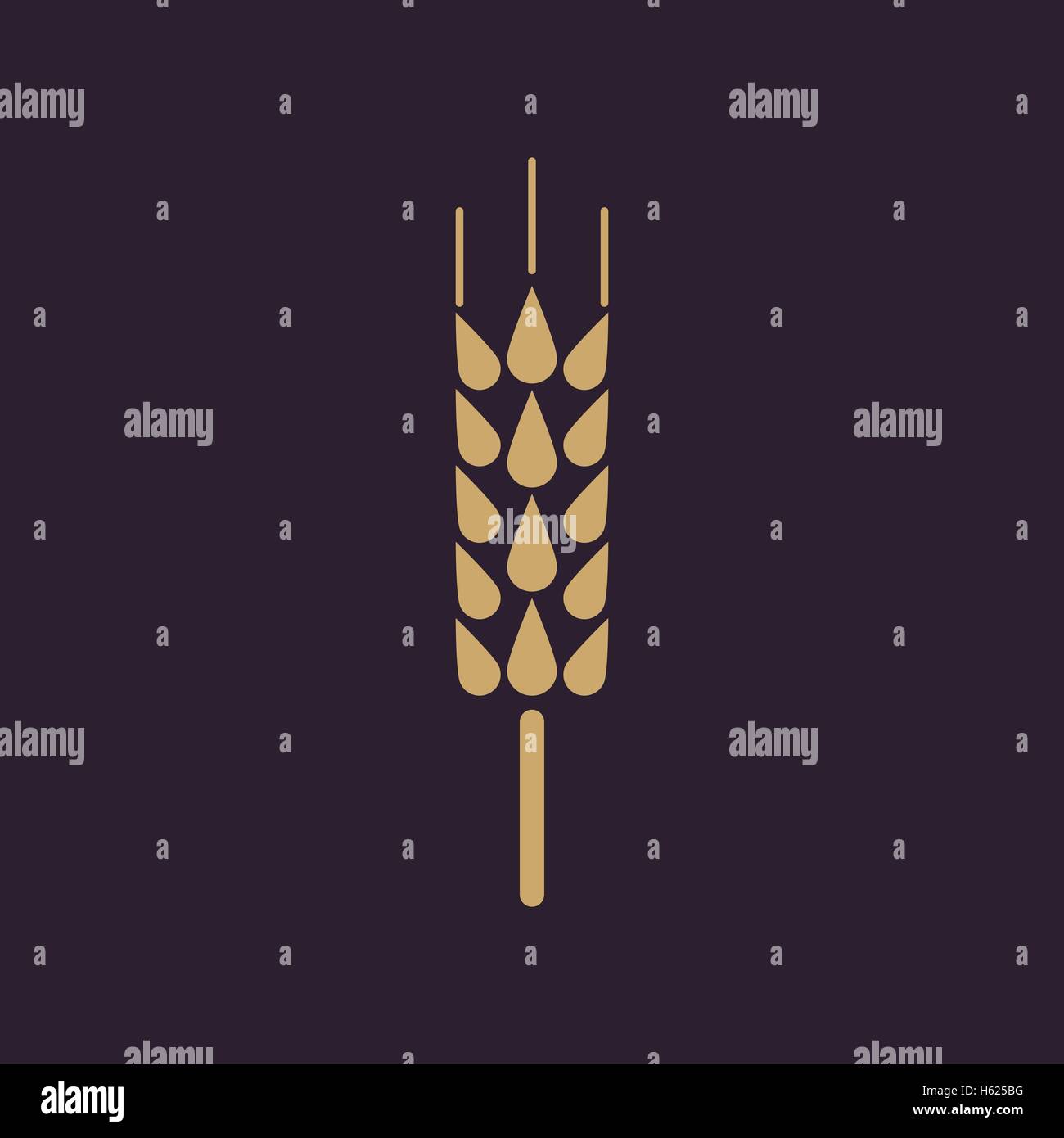 The spica icon. Wheat symbol. Flat Stock Vector Image & Art - Alamy