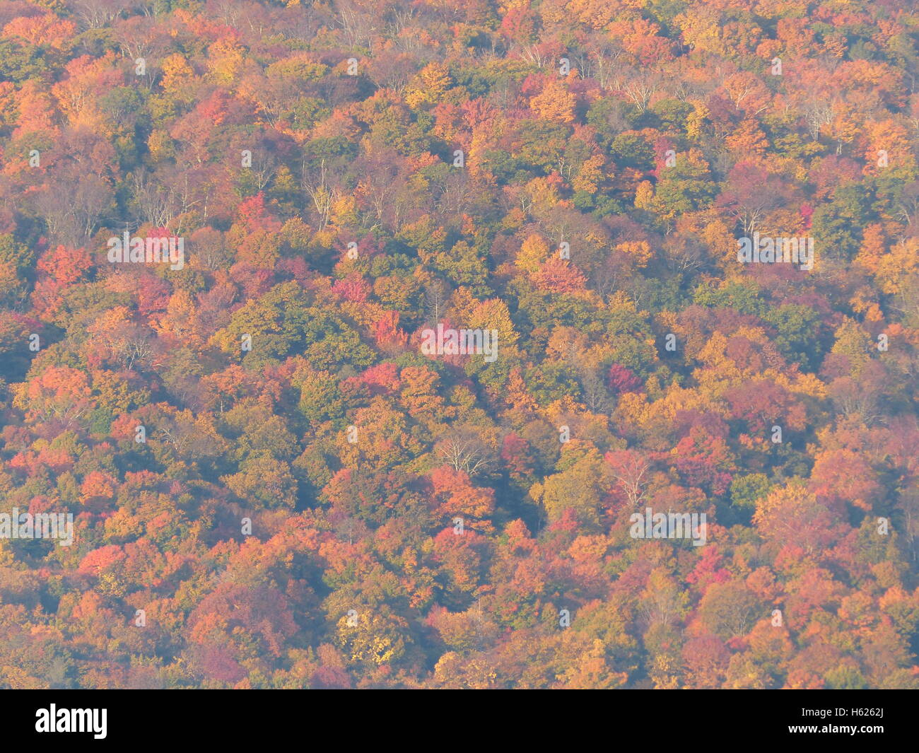 Kingston New York Fall Foliage High Resolution Stock Photography and ...