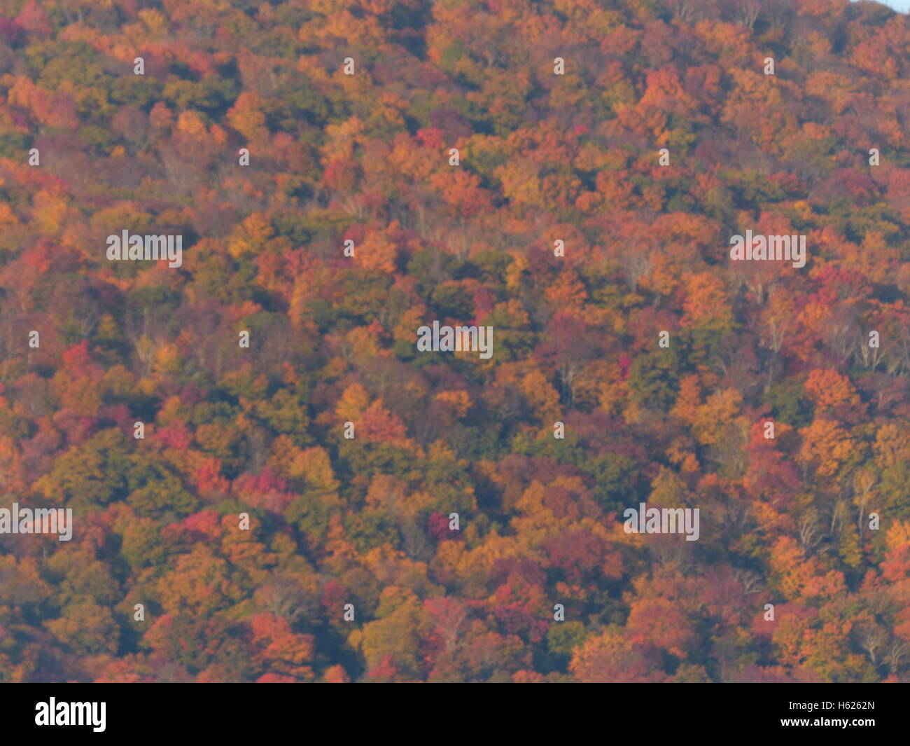 Kingston New York Fall Foliage High Resolution Stock Photography and ...