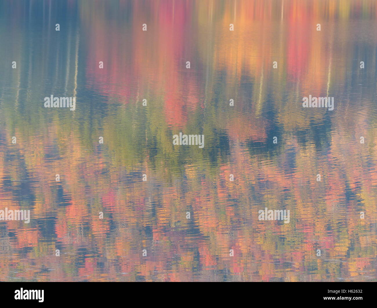 Kingston new york fall foliage hi-res stock photography and images - Alamy