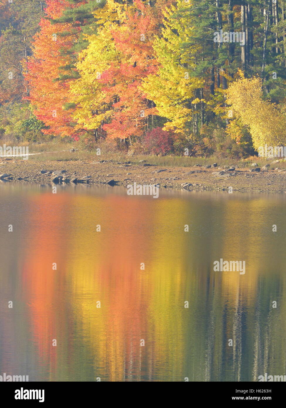 Kingston New York Fall Foliage High Resolution Stock Photography and ...