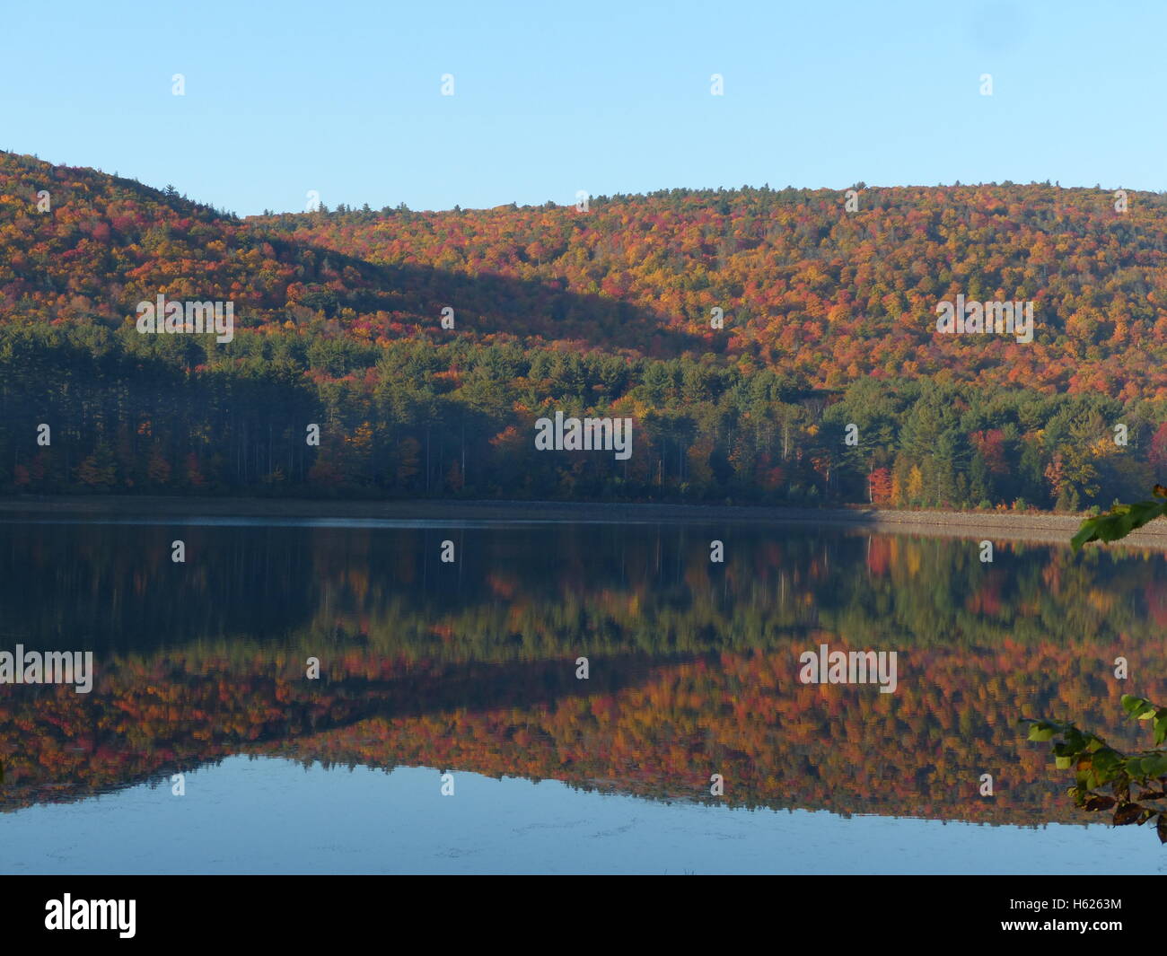 Autumn foliage of Northeastern United States Stock Photo - Alamy
