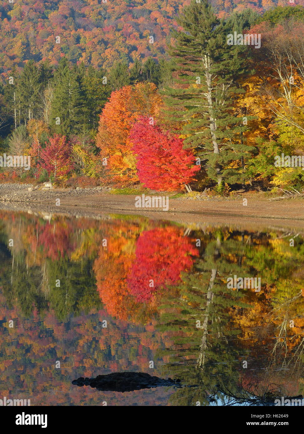 Kingston New York Fall Foliage High Resolution Stock Photography and ...