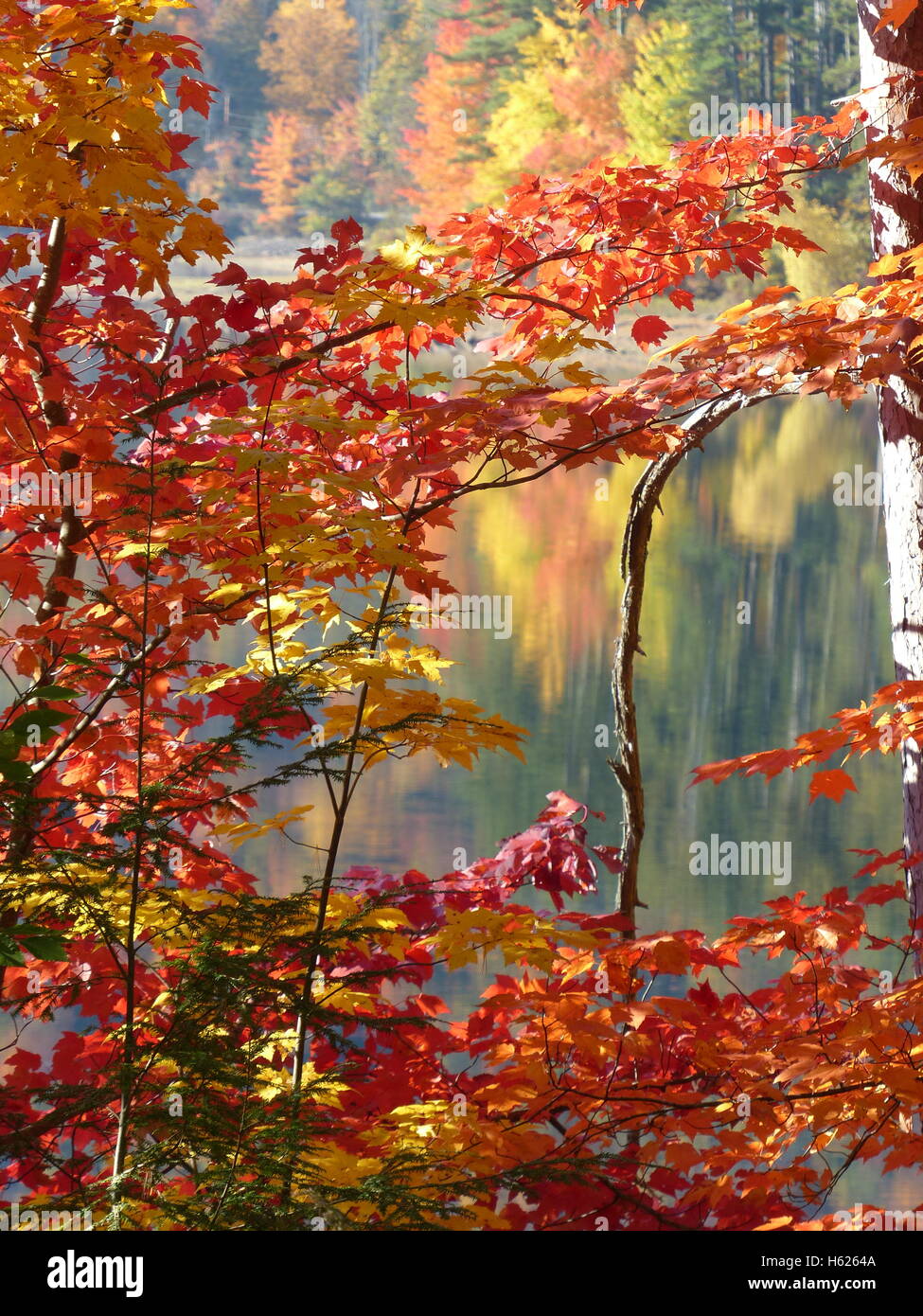Rising autumn prices hi-res stock photography and images - Alamy