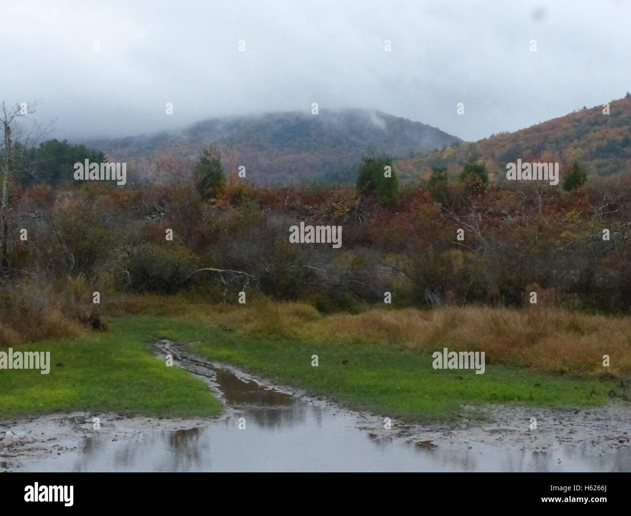 Wet fog rises from mountains after heavy rain Stock Photo - Alamy