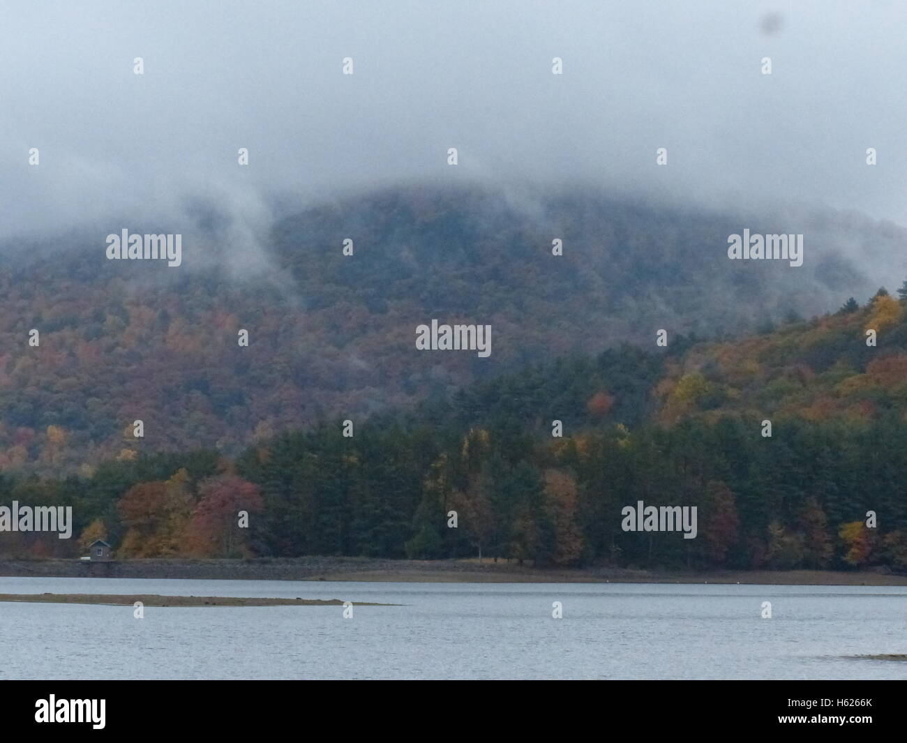 Wet fog rises from mountains after heavy rain Stock Photo - Alamy