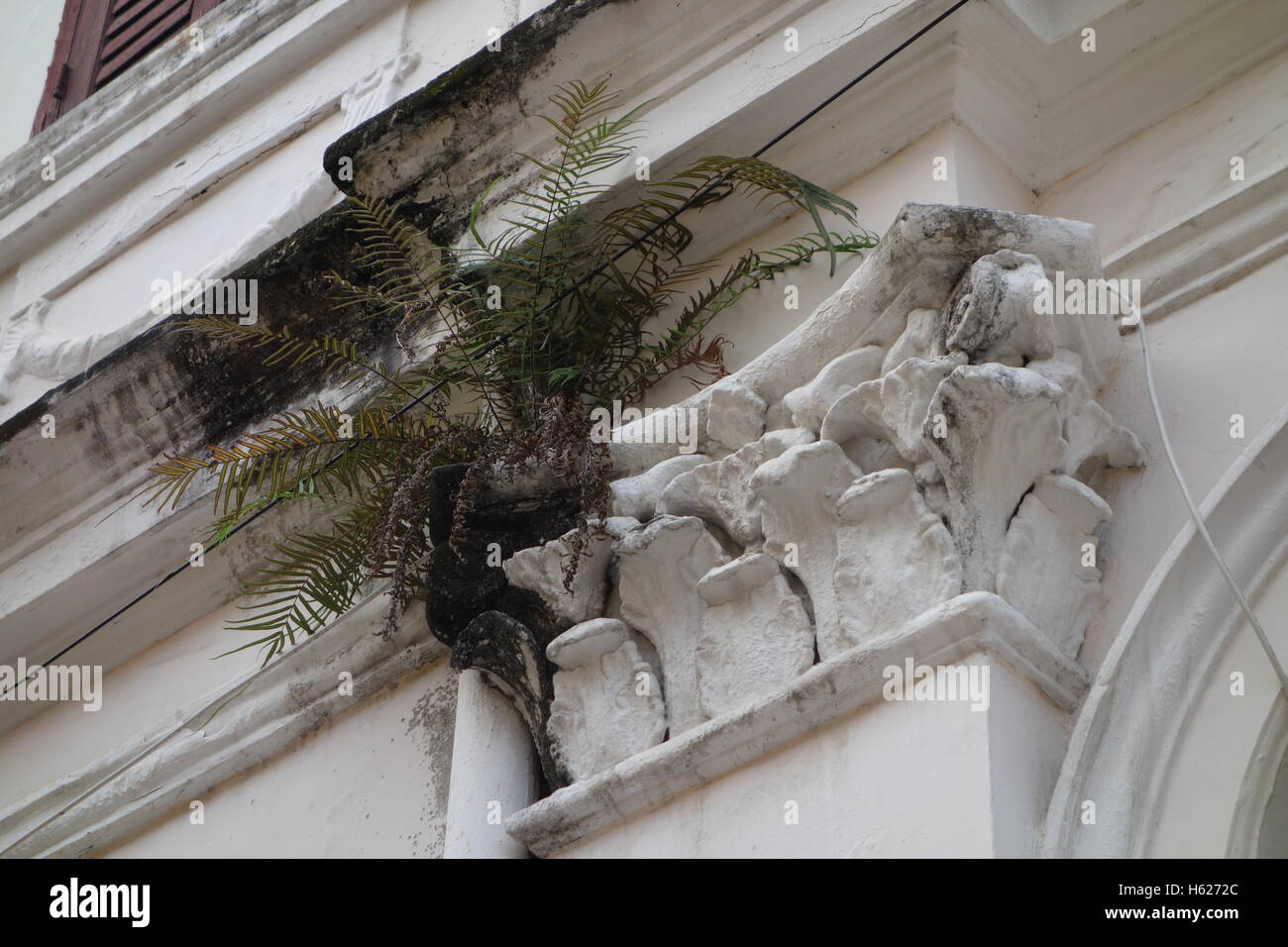 Macau China very rich foliate capital with fern growing out of it ...