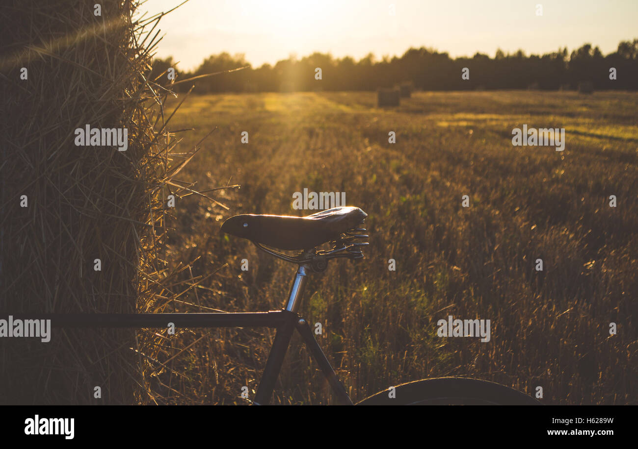 Sunlight and wasteland in summer hi-res stock photography and images ...