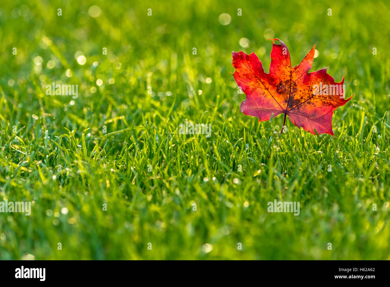 Interesting background hi-res stock photography and images - Alamy
