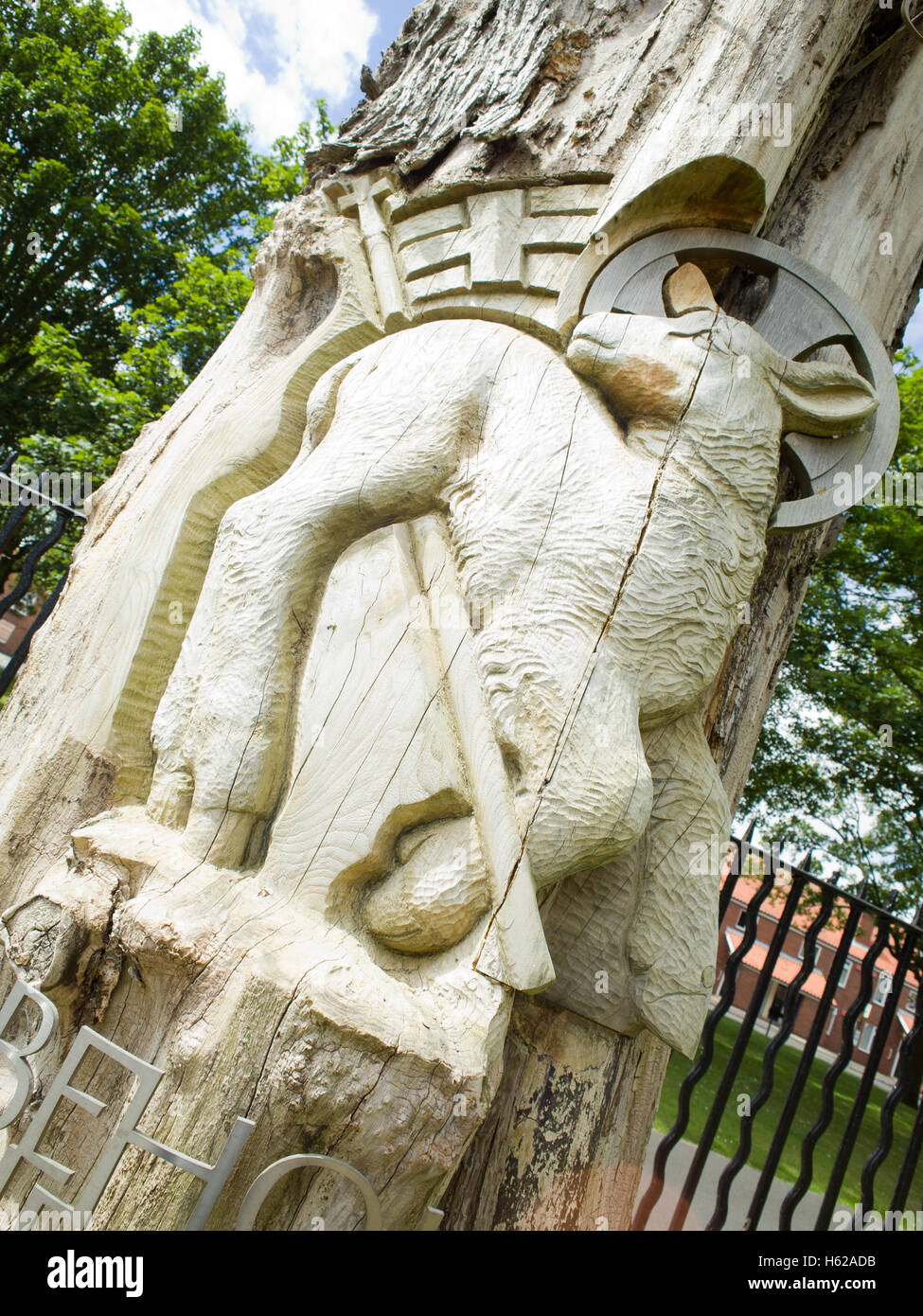 Tree stump carving hi-res stock photography and images - Alamy