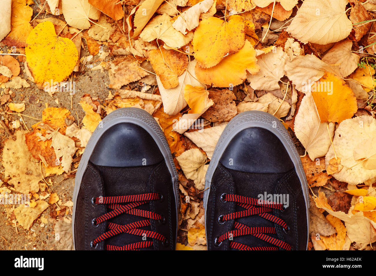 Autumn season and young man feet in sneakers from above standing in the ...