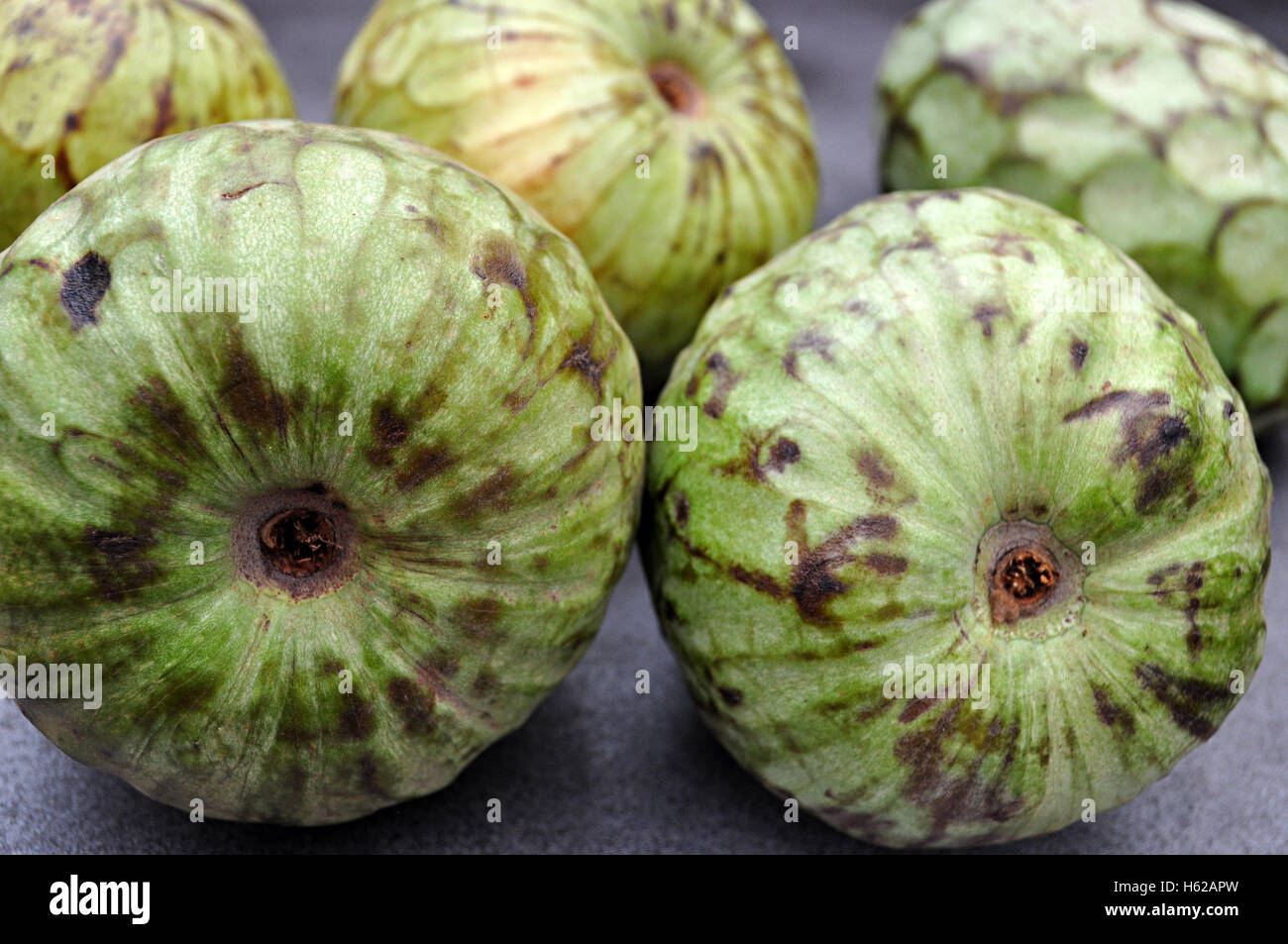 ripe cherimoya fruit Stock Photo - Alamy