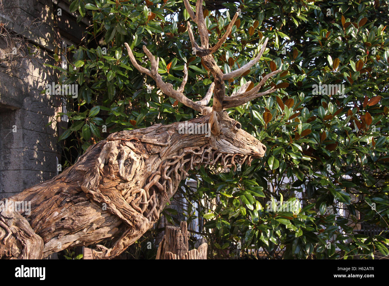 A stag's head statue made from driftwood Stock Photo - Alamy