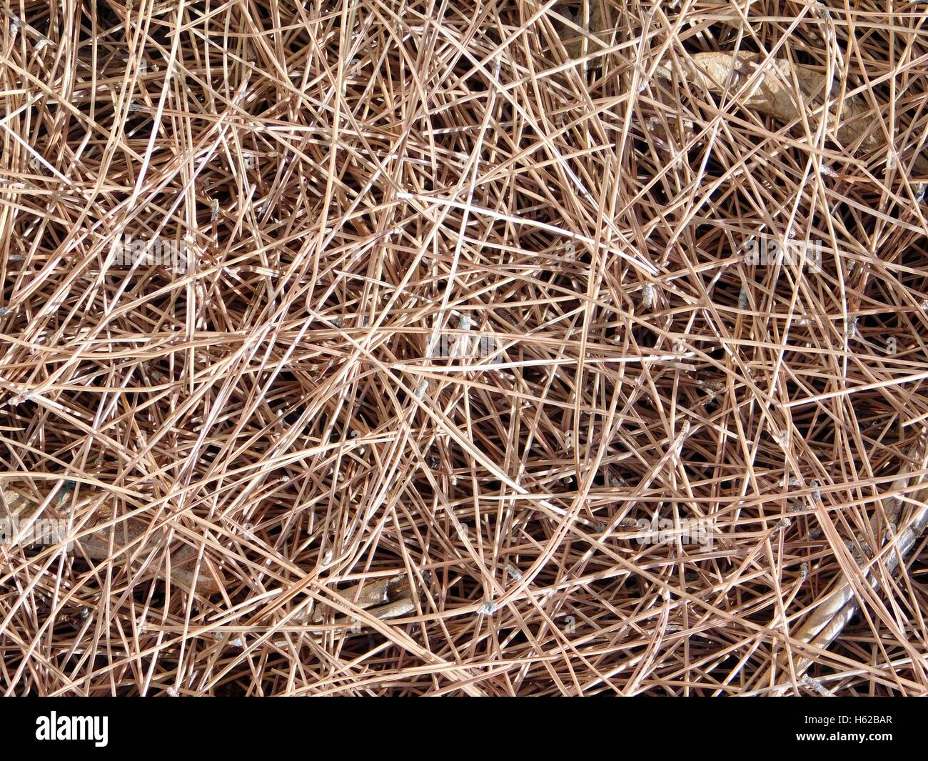Texture of straw Stock Photo - Alamy
