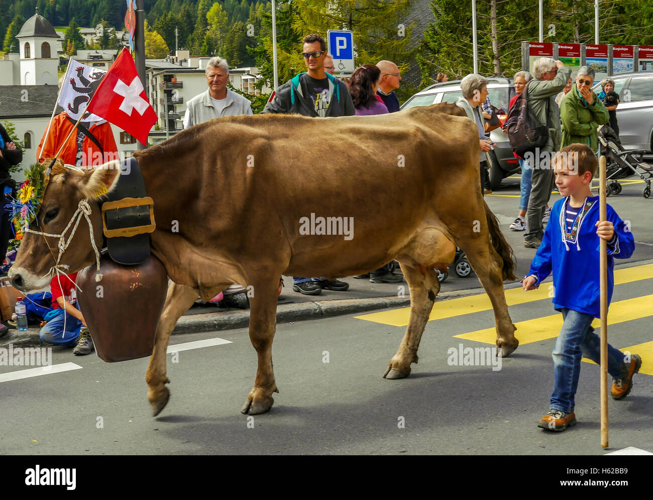 LENZERHEIDE, SWITZERLAND - SEPTEMBER 6, 2014: Traditional Swiss cow ...