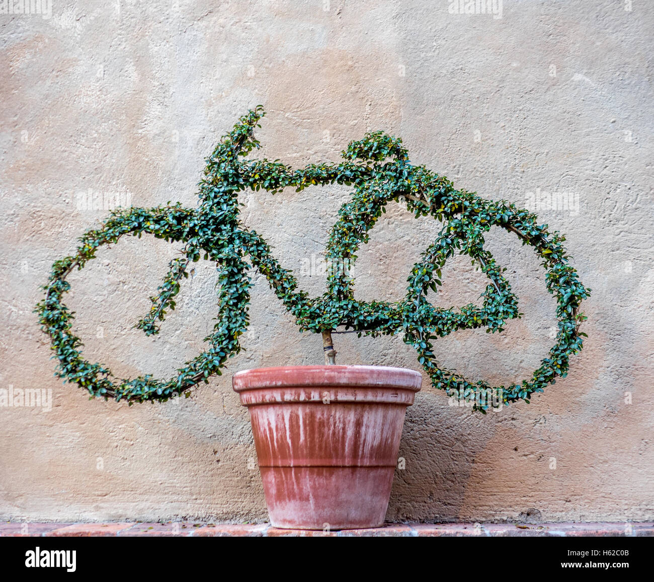 Strange weird bicycle bike hi-res stock photography and images - Alamy