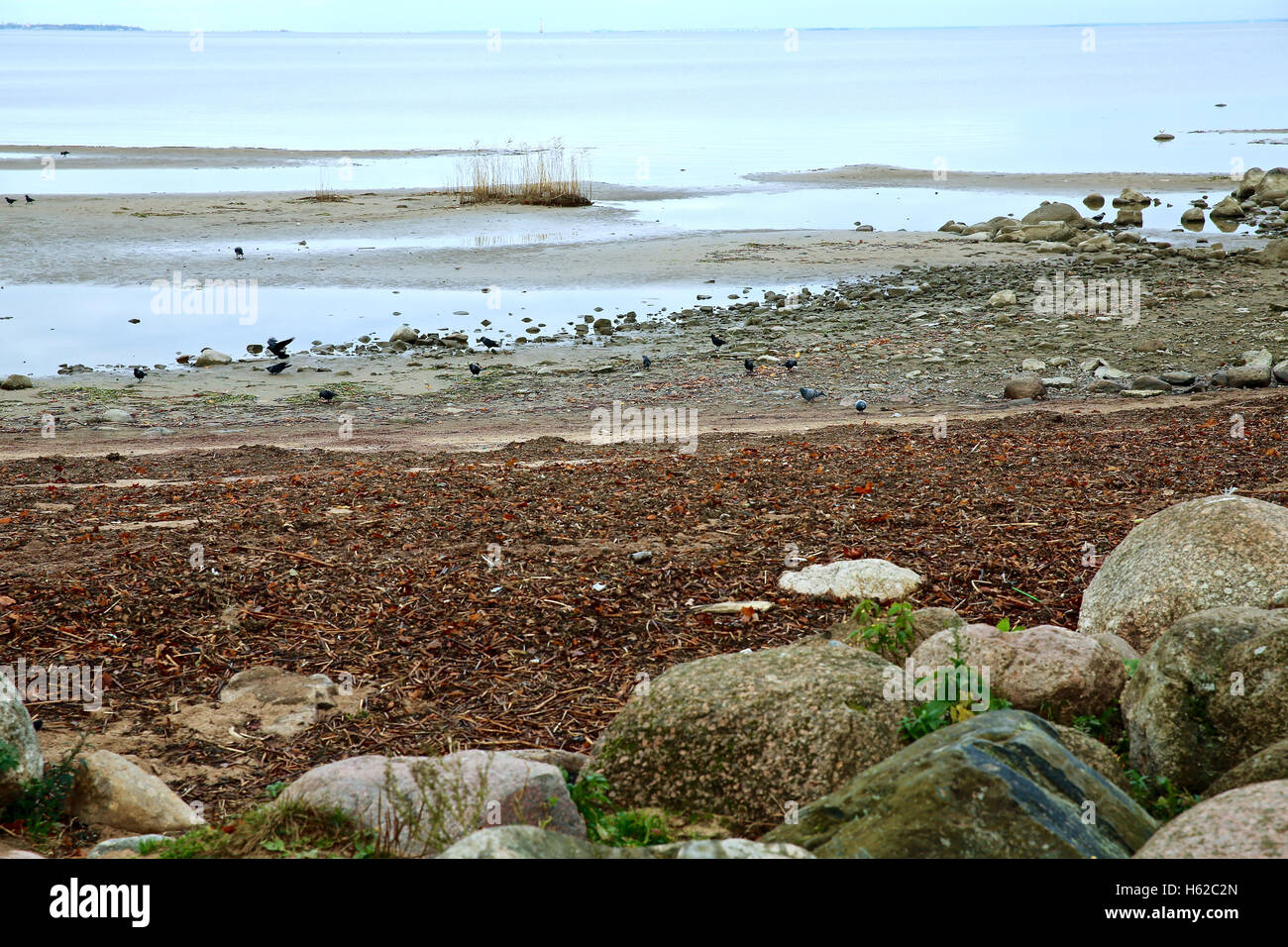 Multi color landscape hi-res stock photography and images - Alamy