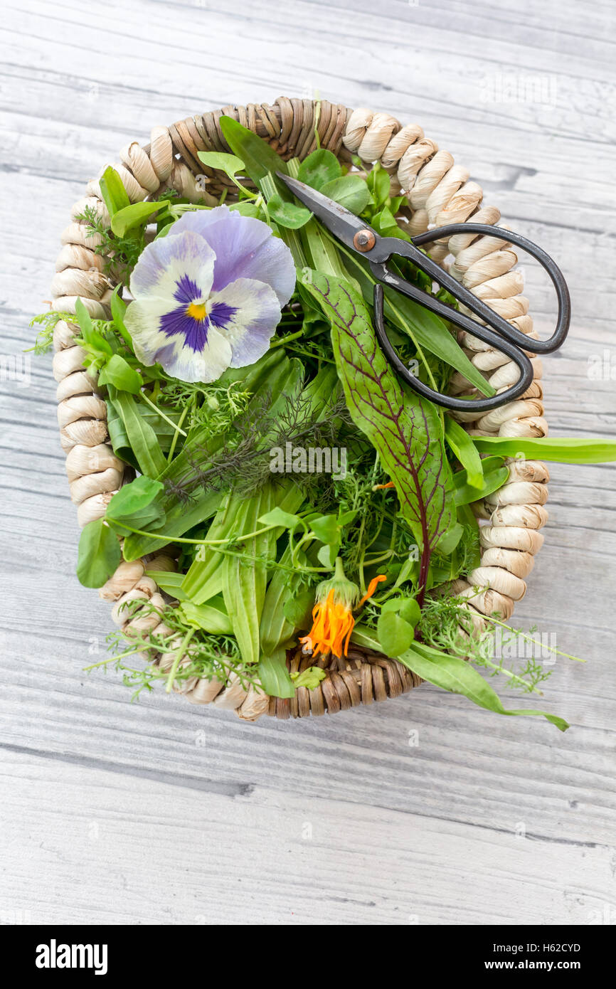 Basket of wild herbs and edible flowers Stock Photo - Alamy