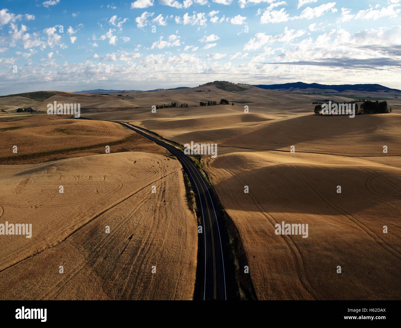 USA, Washington State, Palouse hills, wheat fields during harvesttime ...