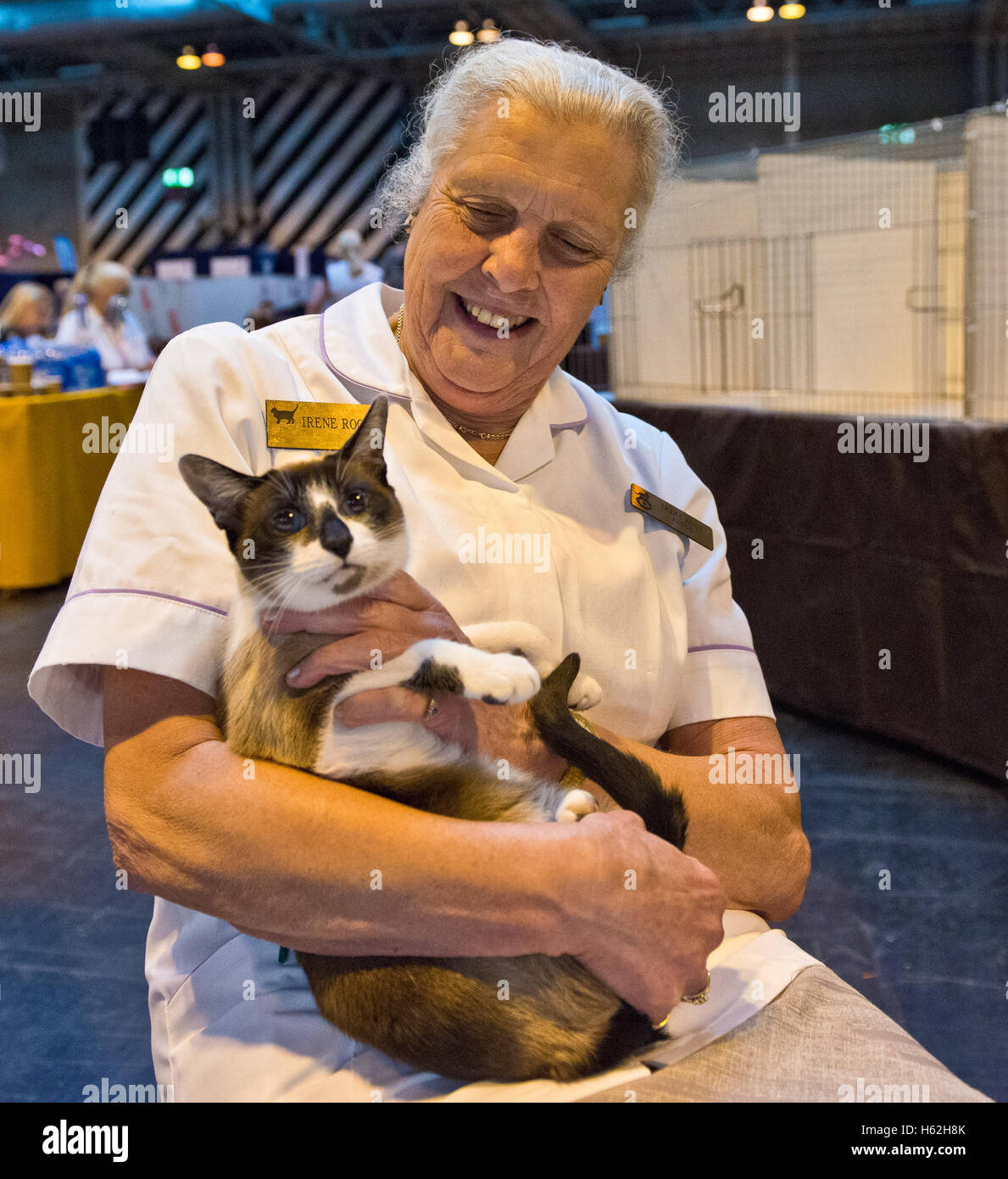 The supreme cats show hi-res stock photography and images - Alamy