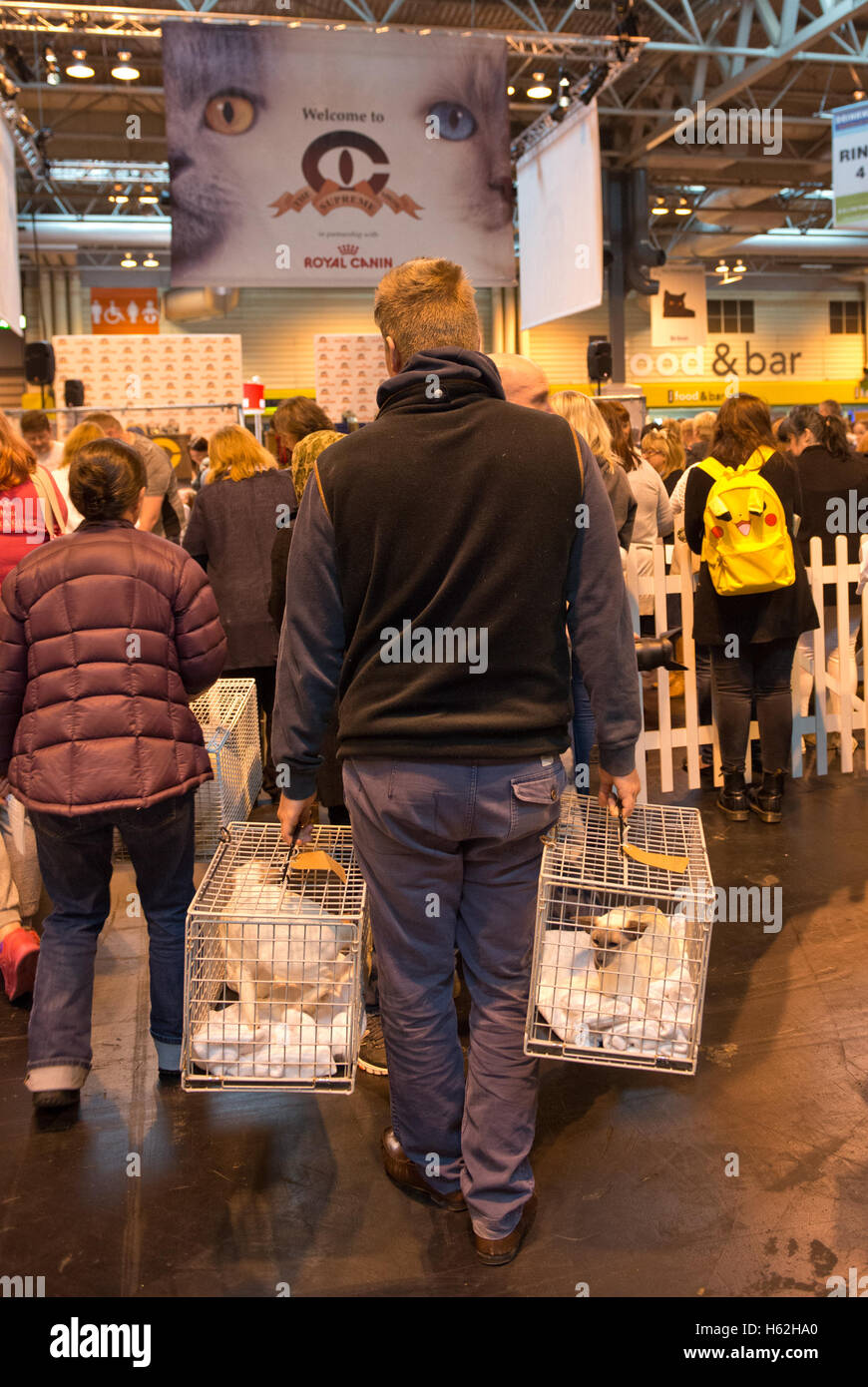 The supreme cats show hi-res stock photography and images - Alamy