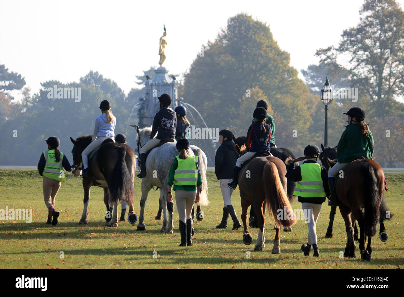 Horse rangers association hi-res stock photography and images - Alamy