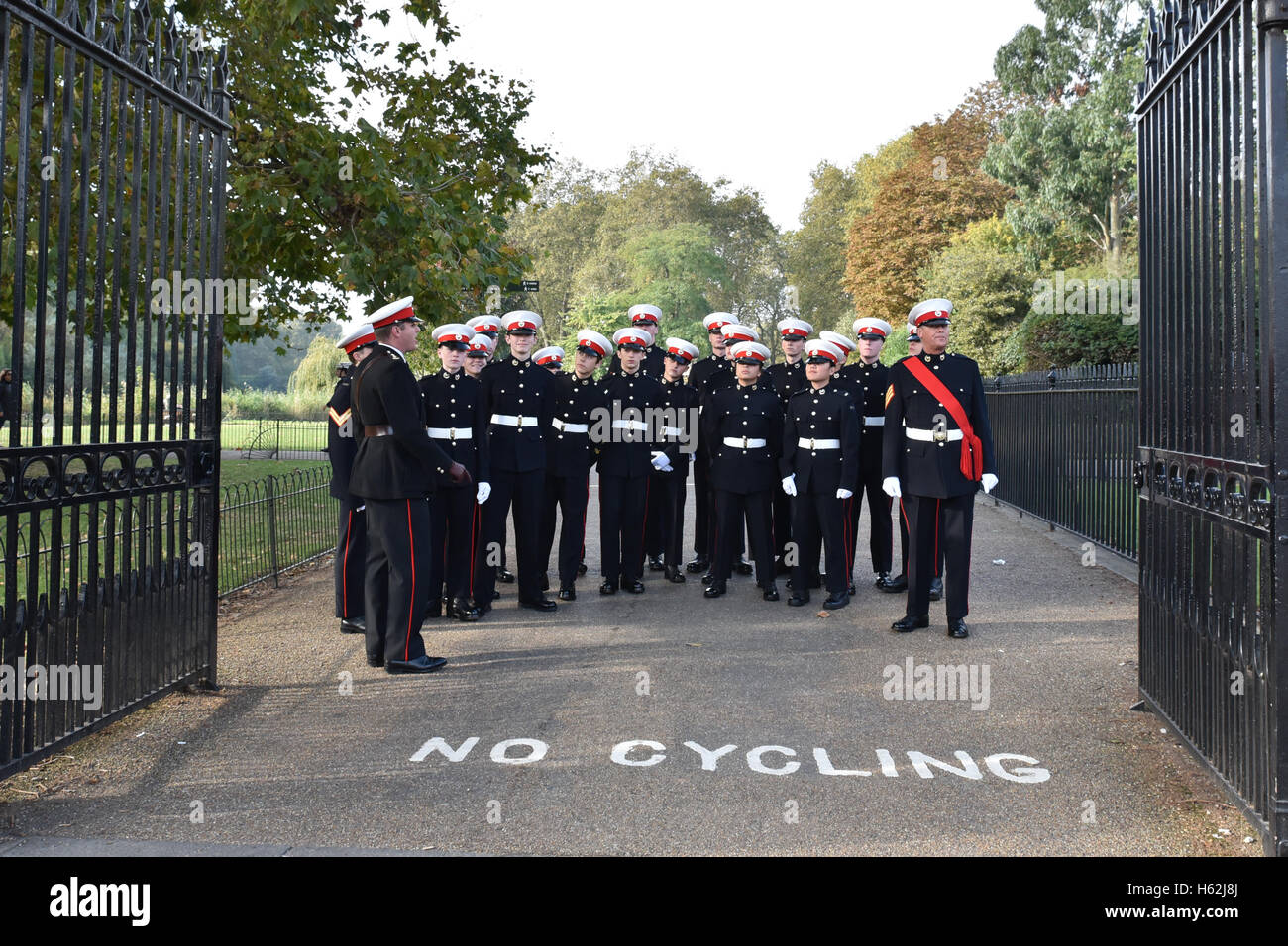 London, UK. 23rd October 2016. The Sea Cadets parade from Horse Guards ...
