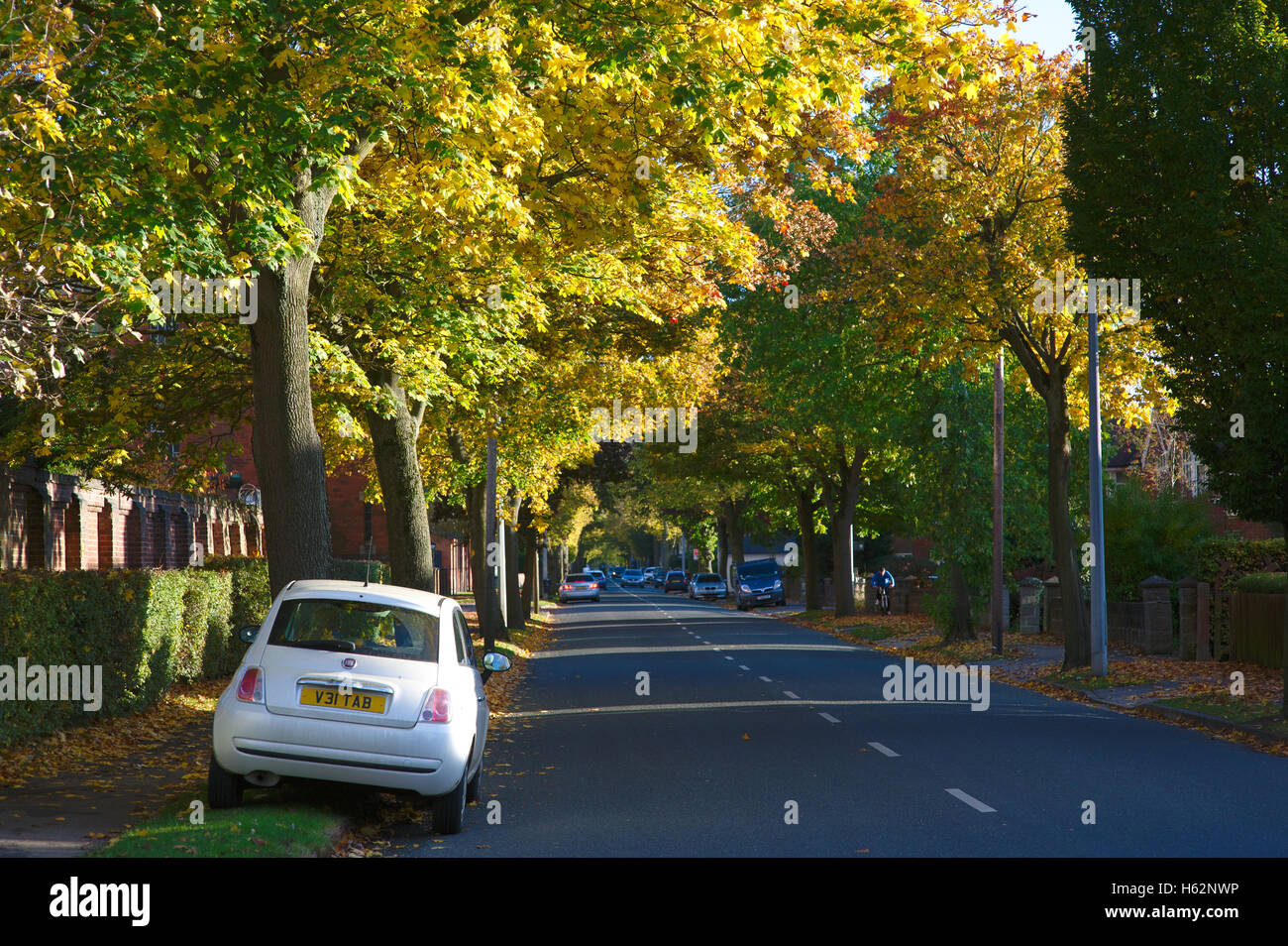 Lincoln, UK. 23 October 2016. UK weather. Lincoln shows it's autumn ...