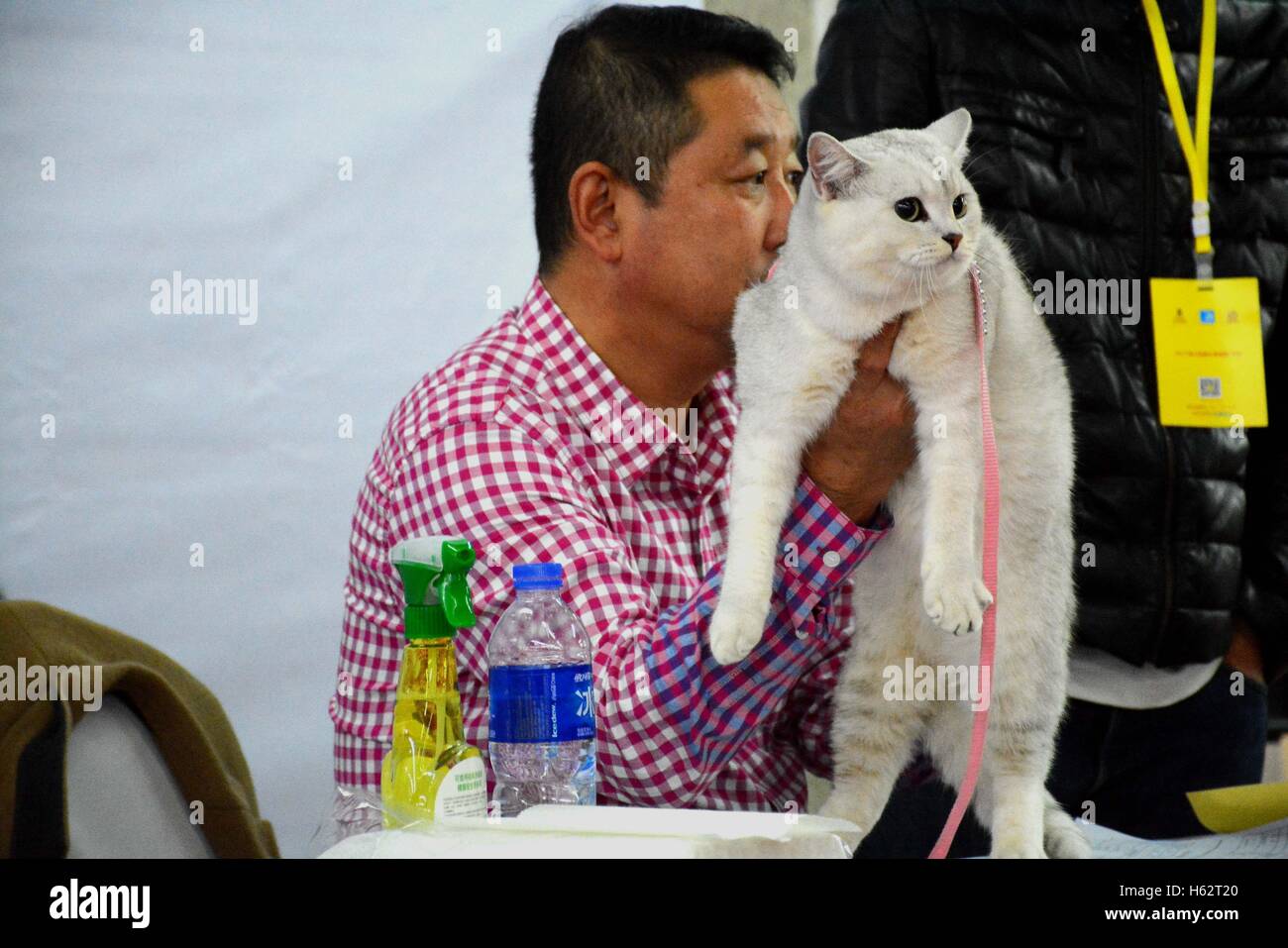 Shenyang, Shenyang, China. 22nd Oct, 2016. A cat attends a cat pageant ...
