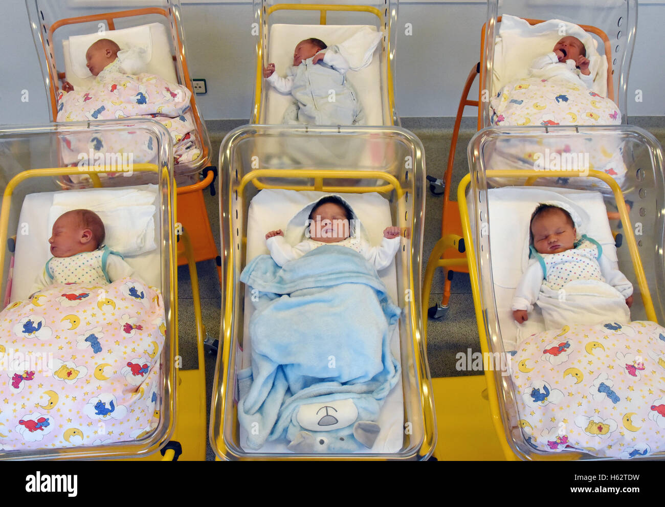 Leipzig, Germany. 17th Oct, 2016. Newly born babies at the St ...