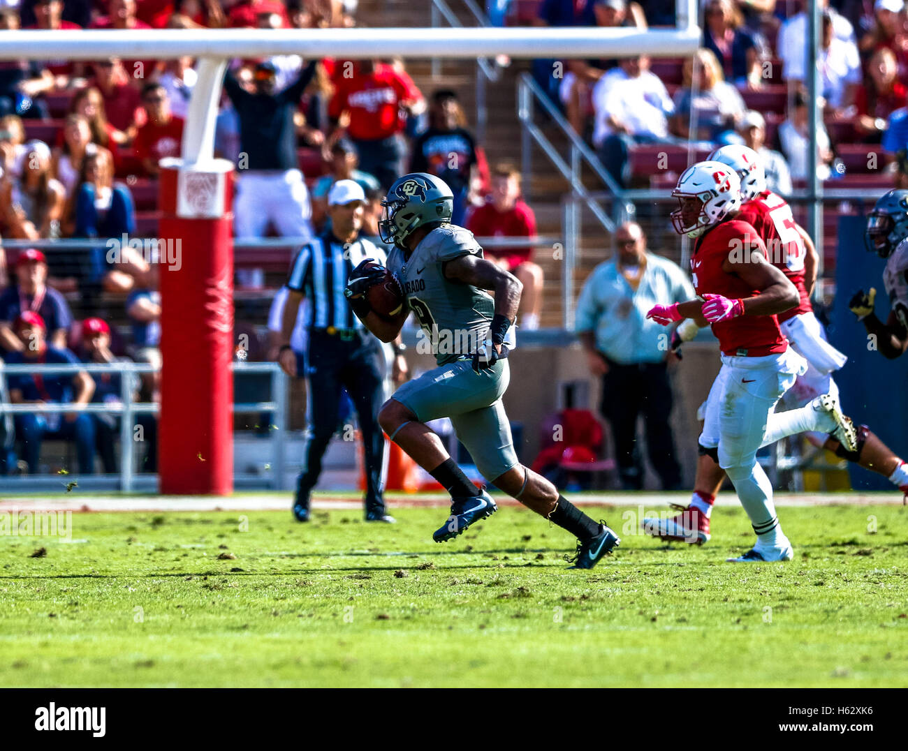 Colorado buffaloes football hi-res stock photography and images - Alamy