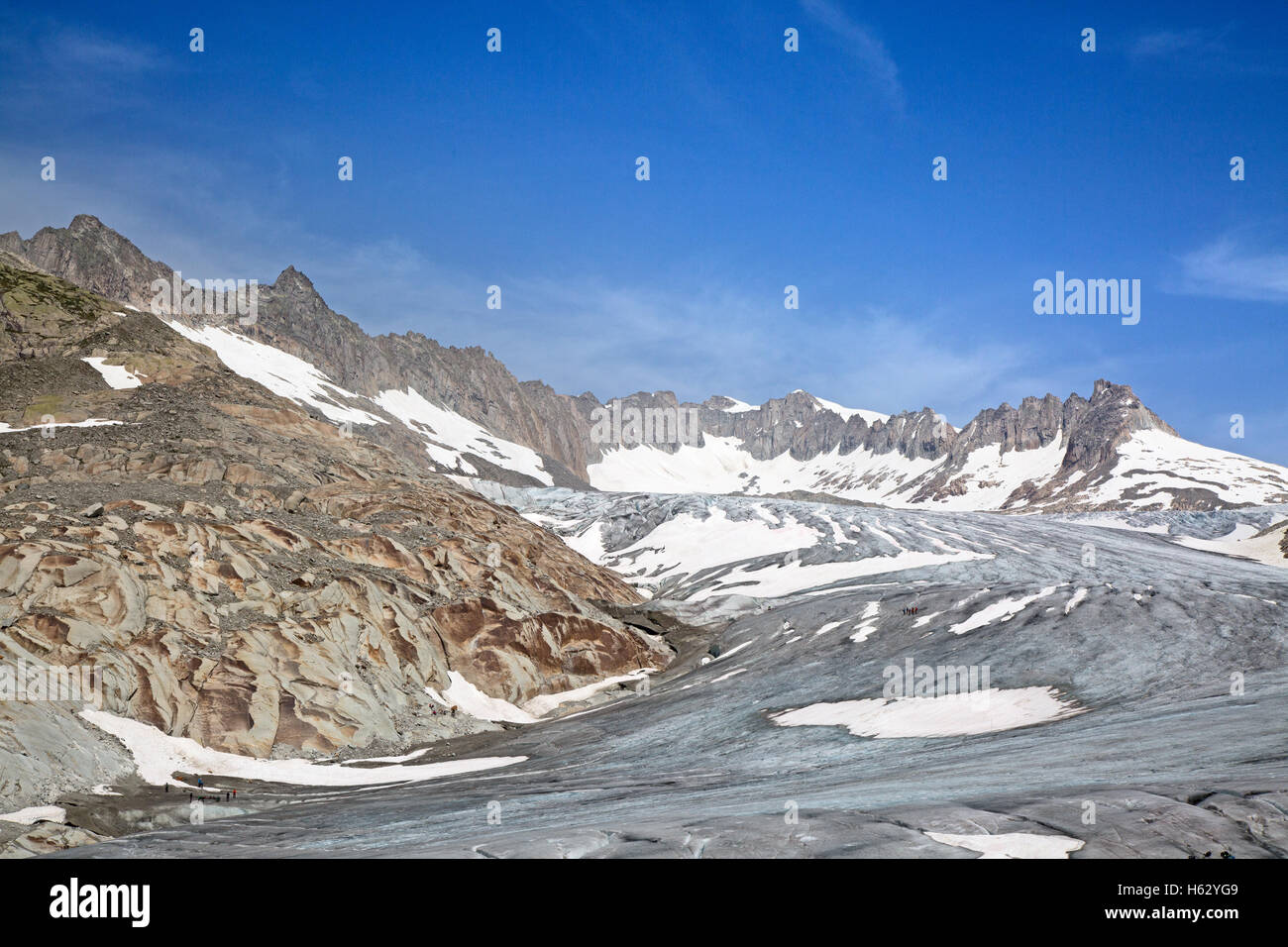 Rhone glacier flower hi-res stock photography and images - Alamy