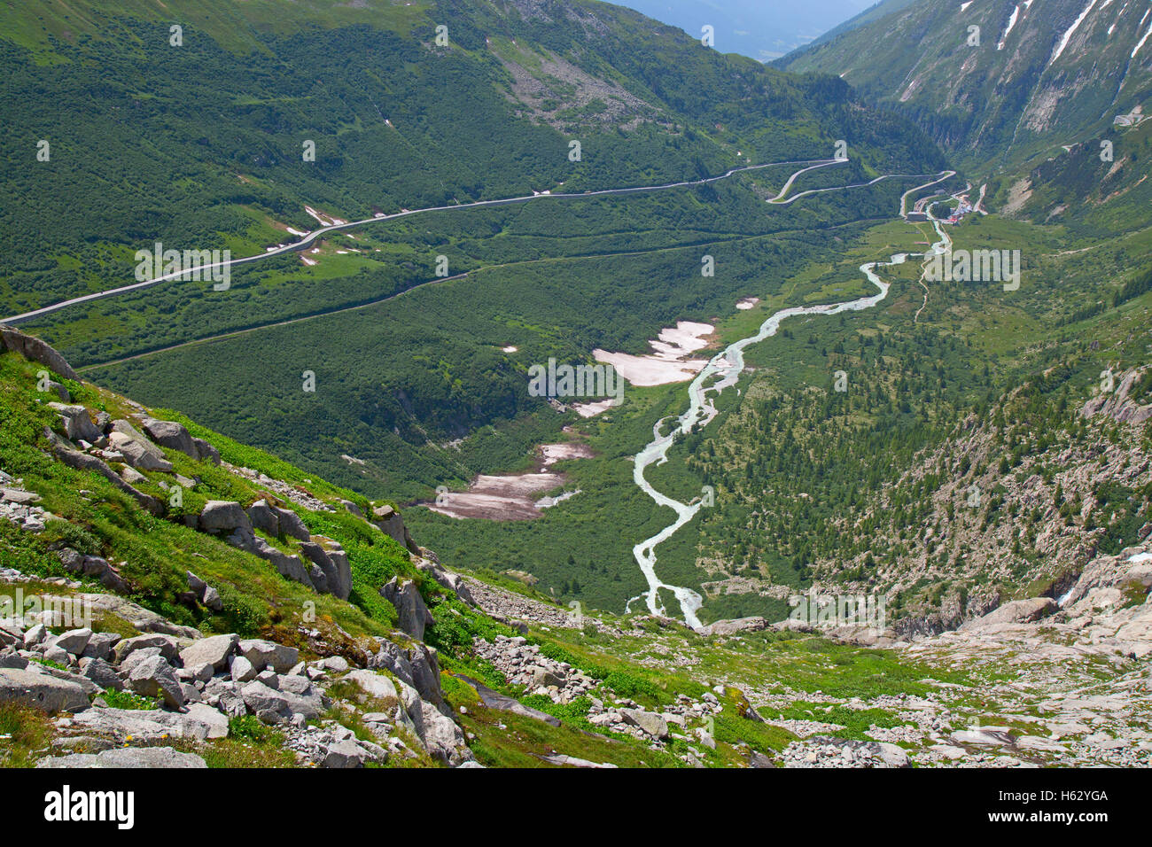 Rhone glacier flower hi-res stock photography and images - Alamy