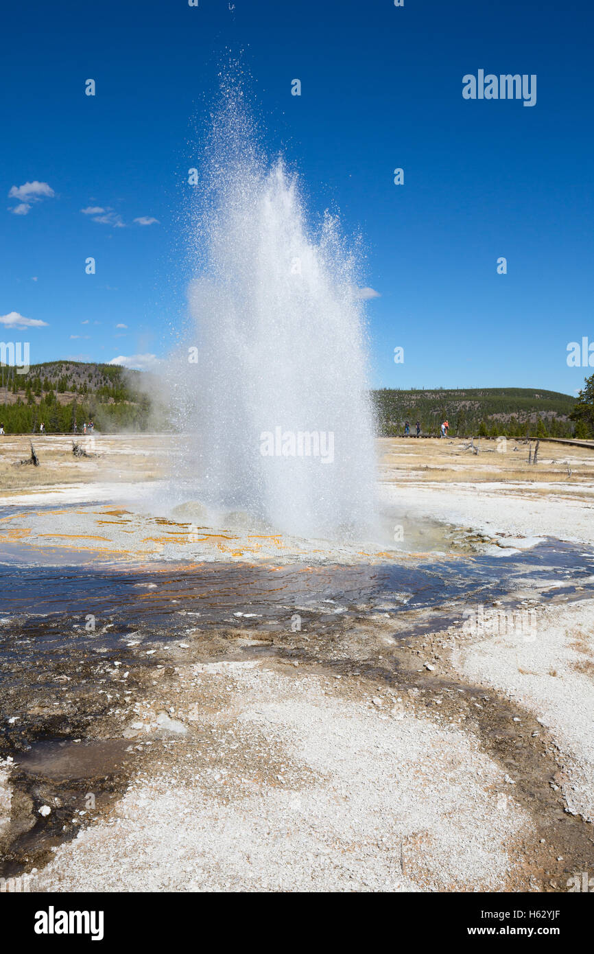 Eruption of jewel geyser hi-res stock photography and images - Alamy