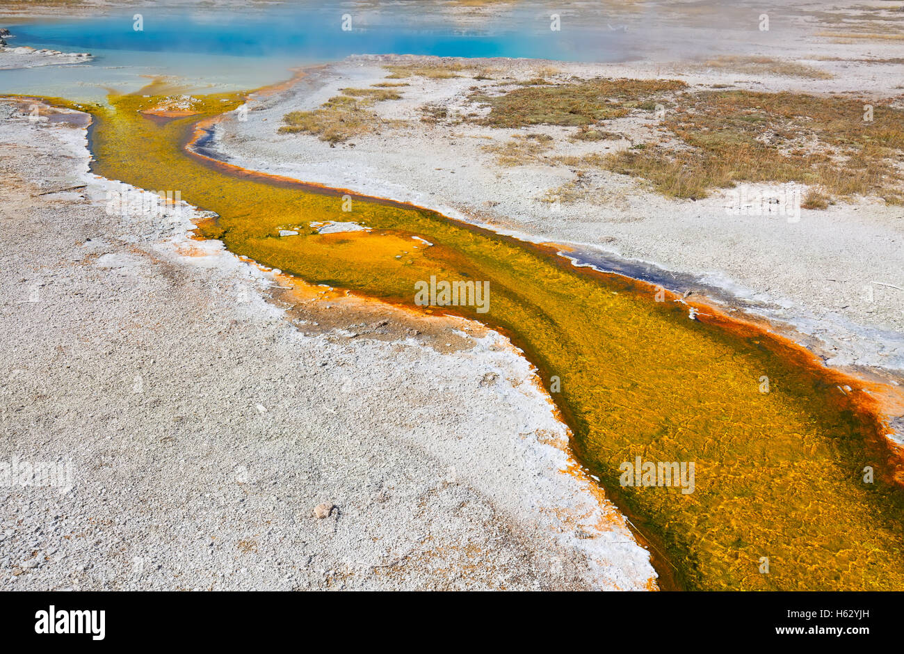 Colorful hot water pool in the Yellowstone National park, USA Stock ...