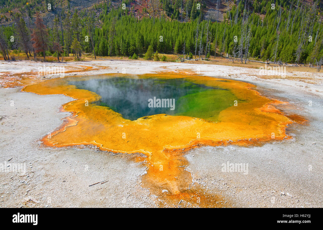 Colorful hot water pool in the Yellowstone National park, USA Stock ...