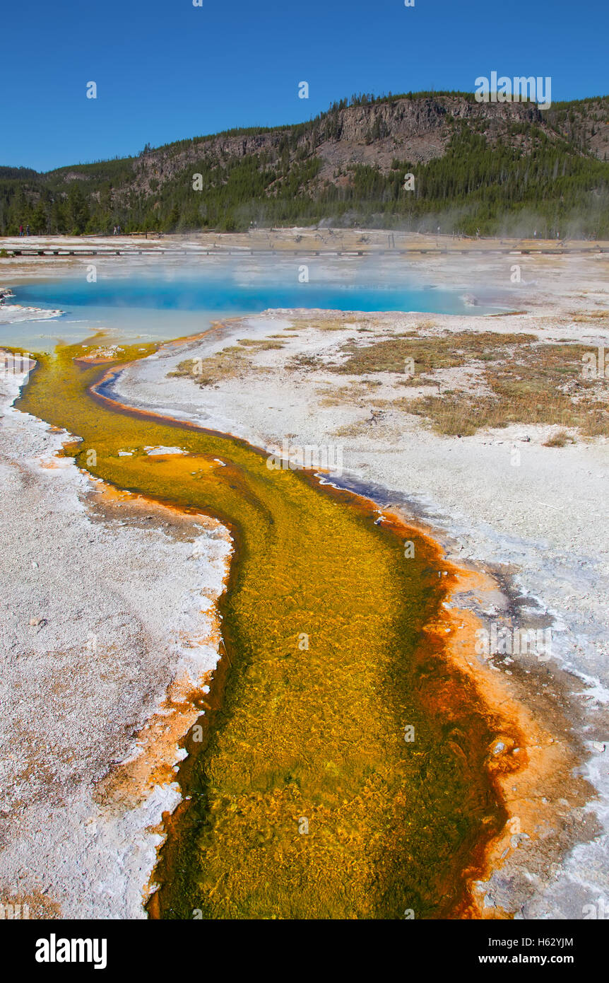 Colorful hot water pool in the Yellowstone National park, USA Stock ...