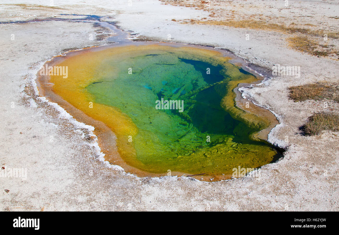 Colorful hot water pool in the Yellowstone National park, USA Stock ...