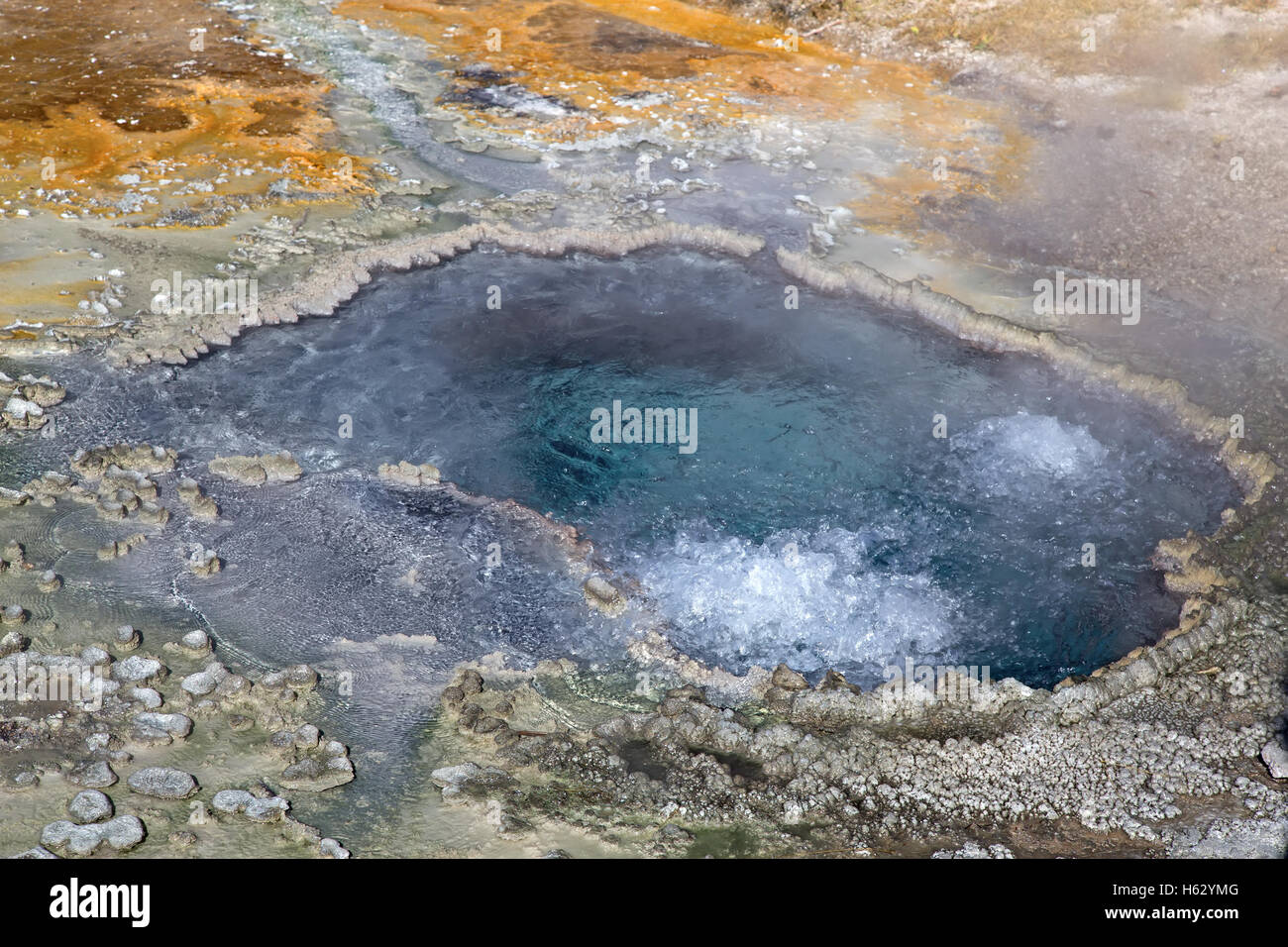 Colorful hot water pool in the Yellowstone National park, USA Stock ...