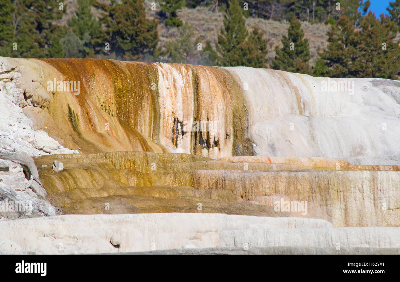 Sulfur cauldron yellowstone hi-res stock photography and images - Alamy