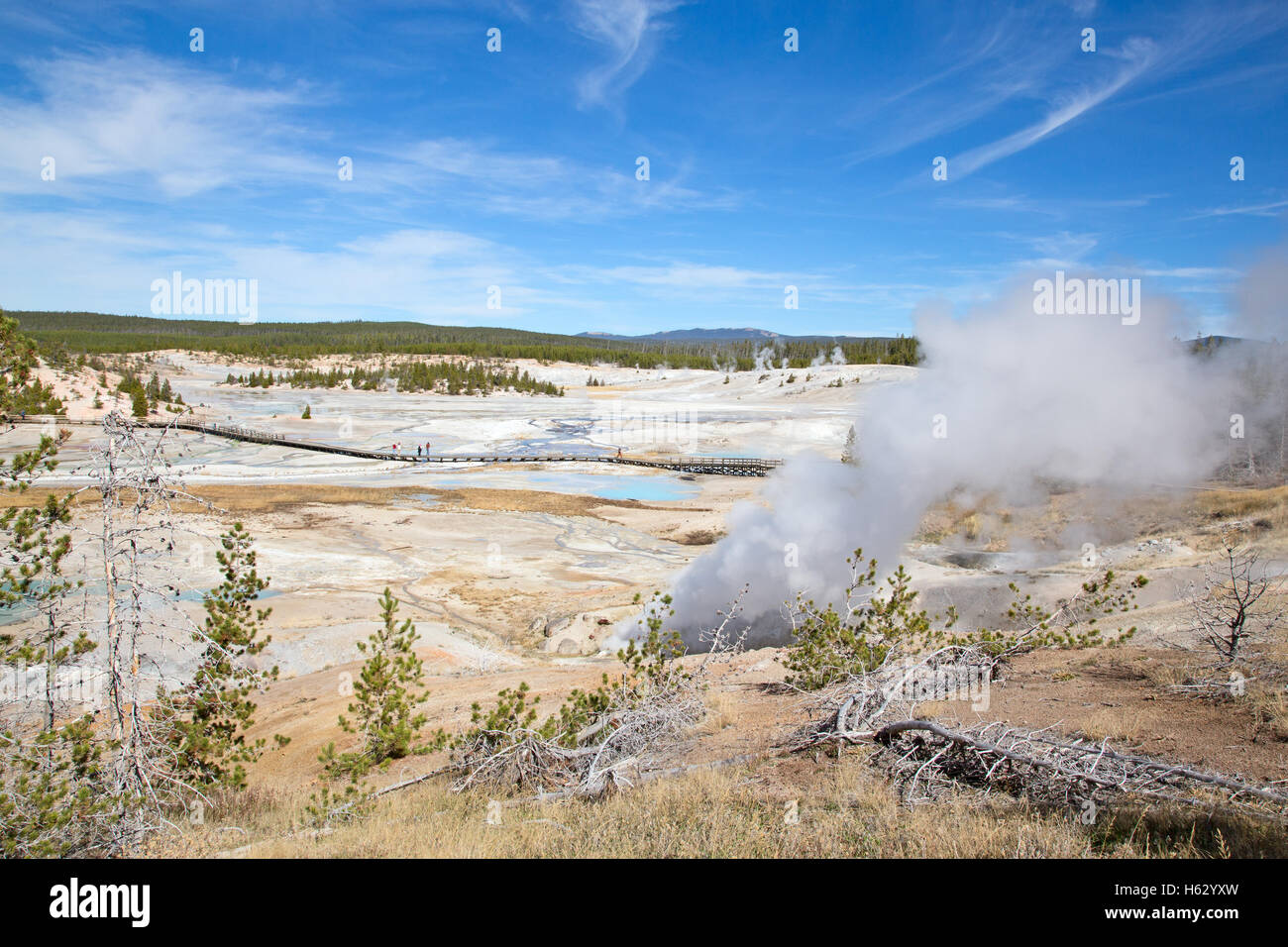 Norris geyser basin in the Yellowstone National park, USA Stock Photo ...